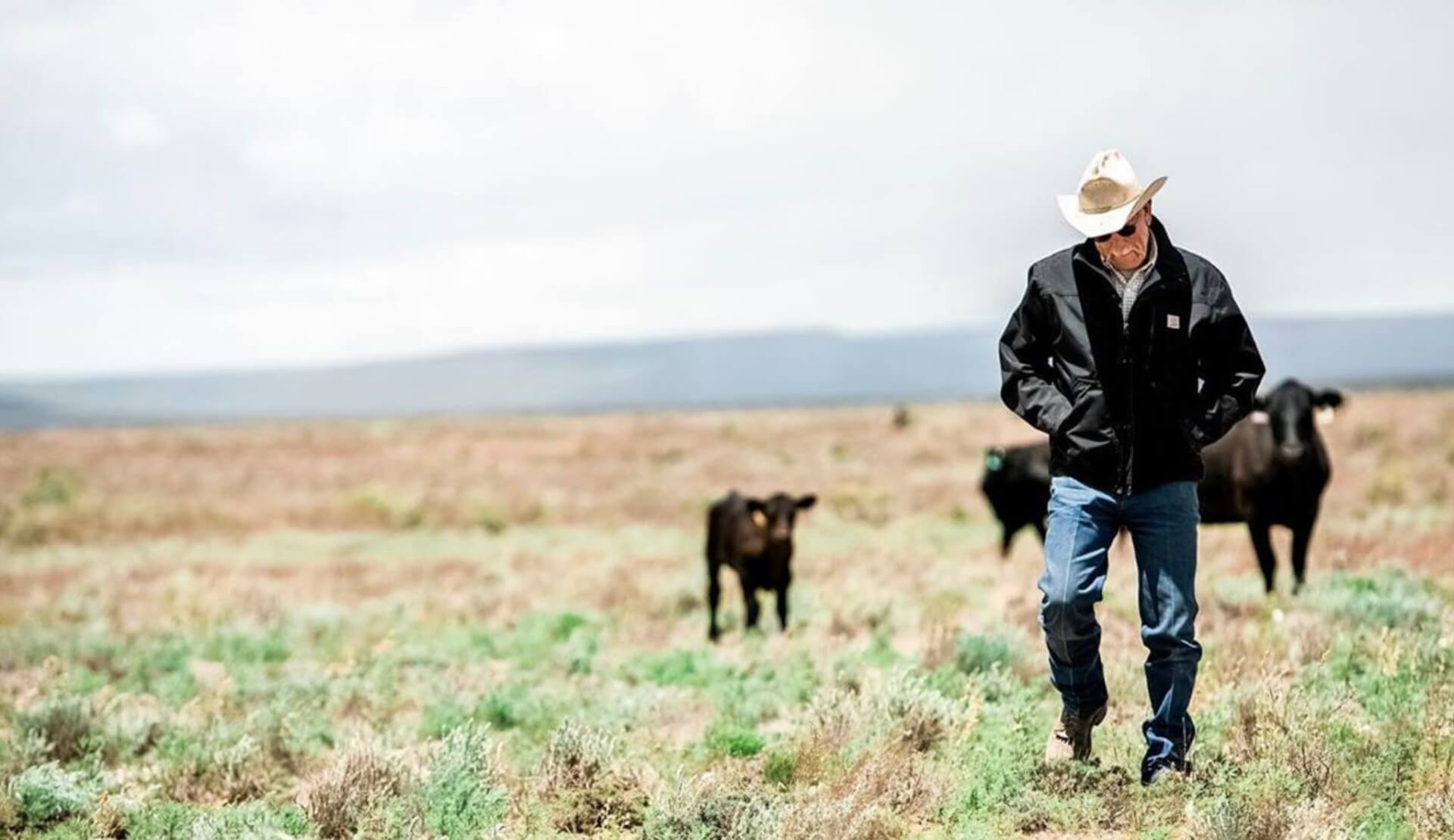 Home - Bar T Bar Bull Sale